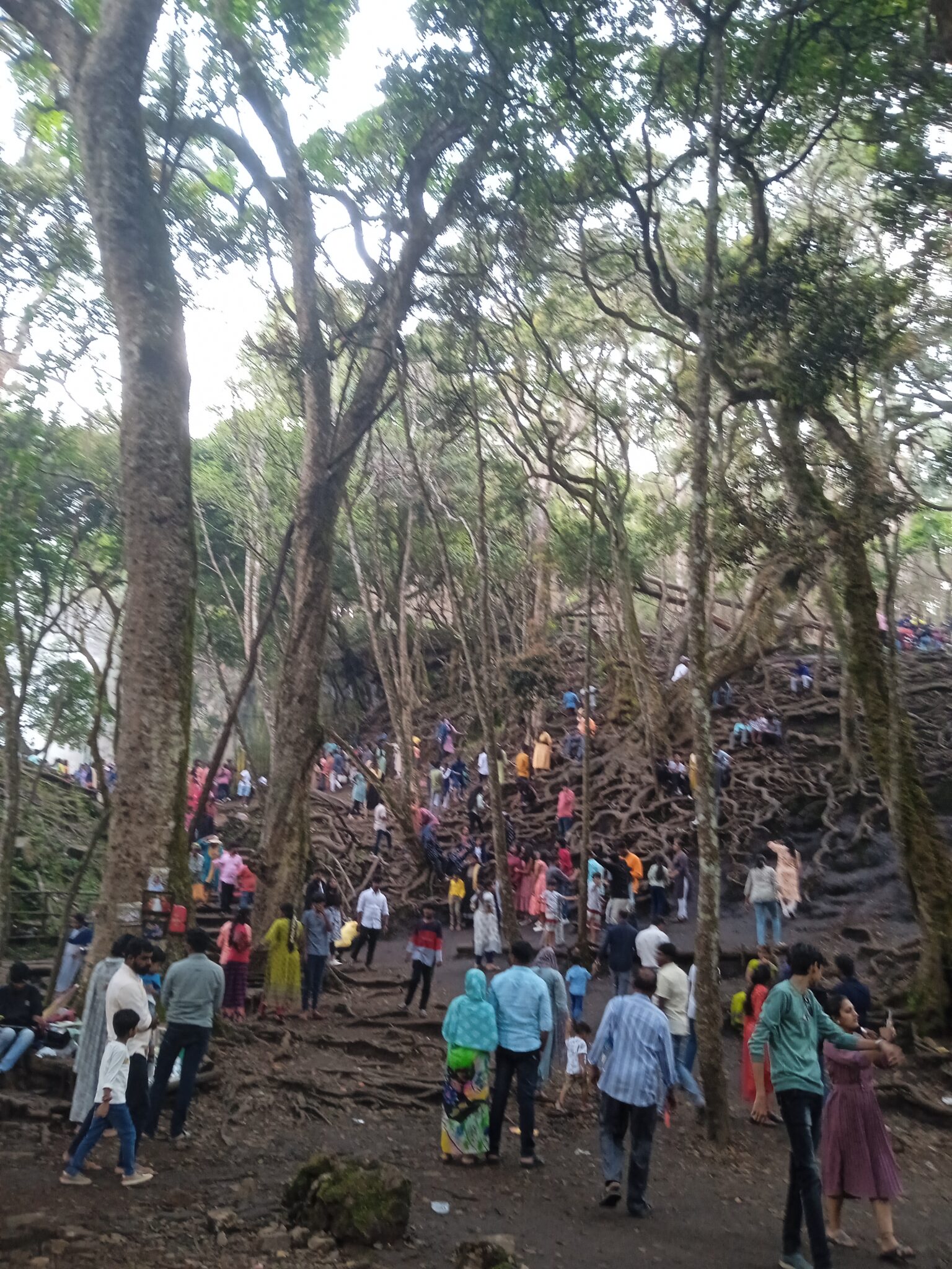 Guna Caves Kodaikanal: History, Entry Fee, Timings & Travel Guide (2026 ...