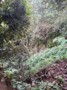 Guna Caves Kodaikanal: History, Entry Fee, Timings & Travel Guide (2026 ...